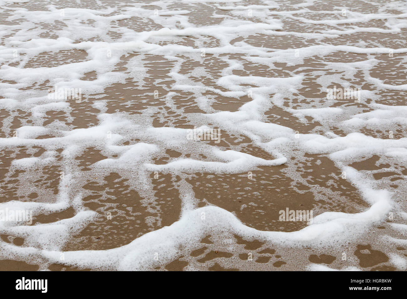 Foam algae on the north sea beach hi-res stock photography and images ...