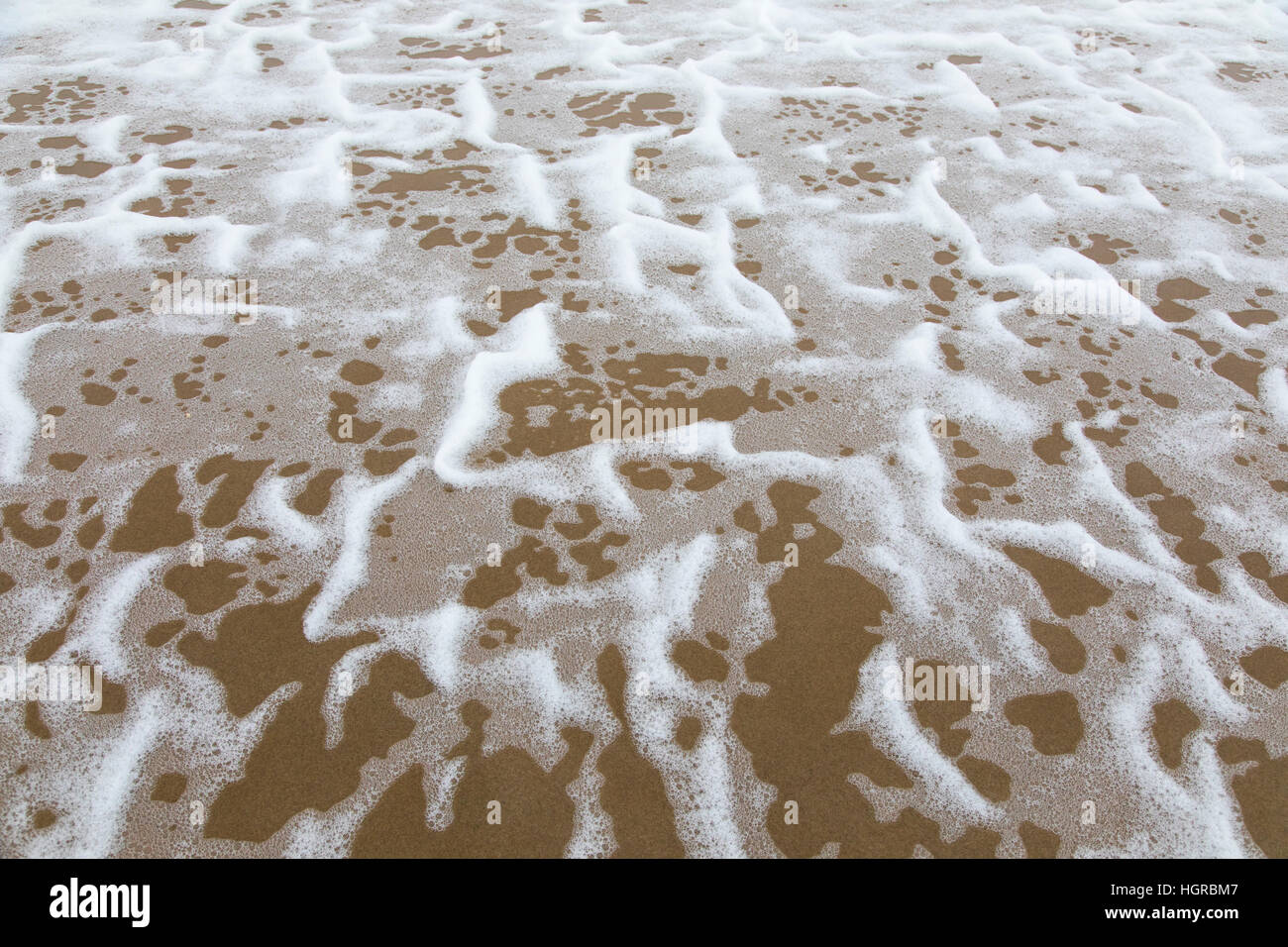 Sea foam, it is formed by strong wind and organic particles on the ...