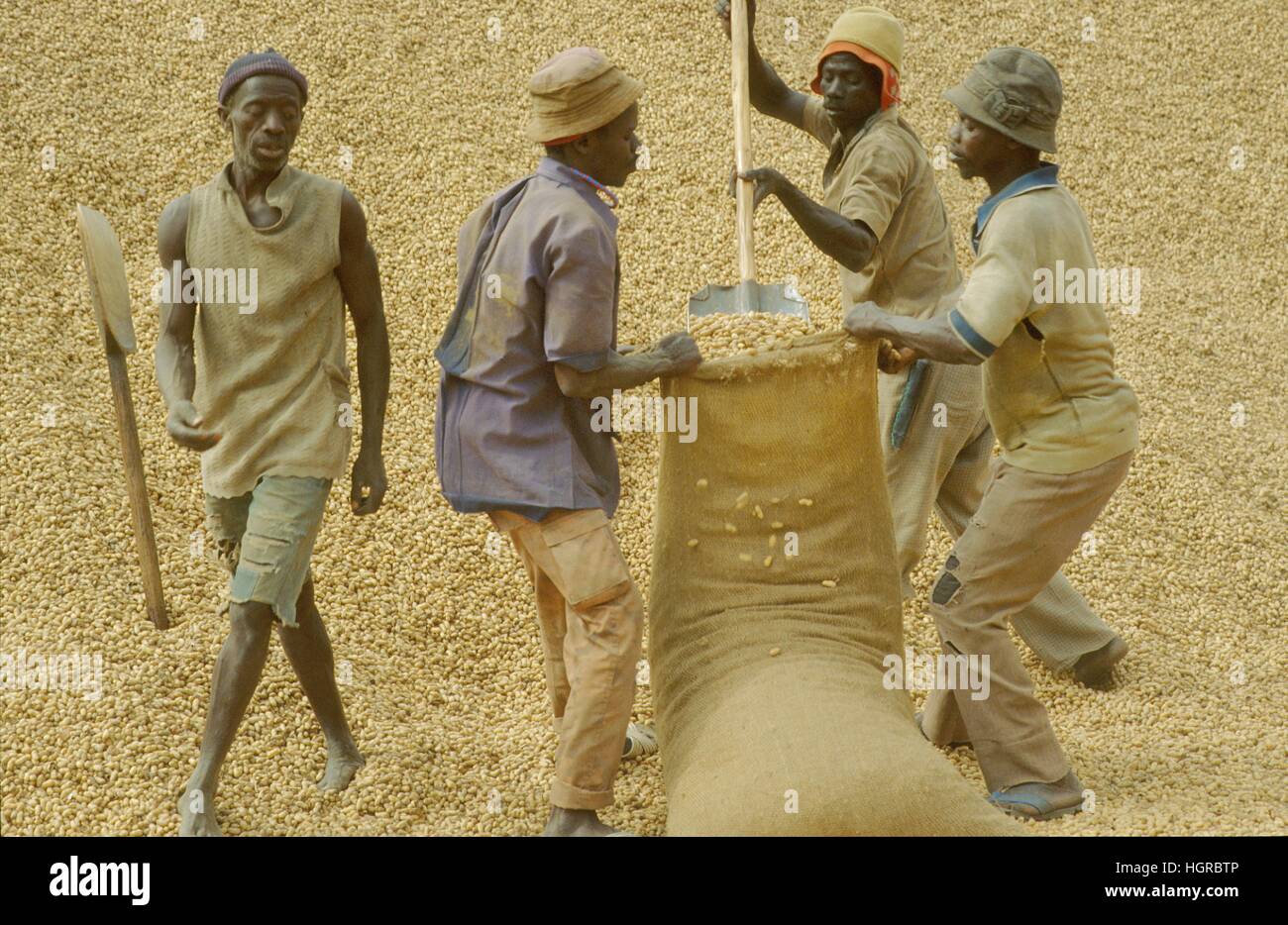 Senegal peanuts hi-res stock photography and images - Alamy