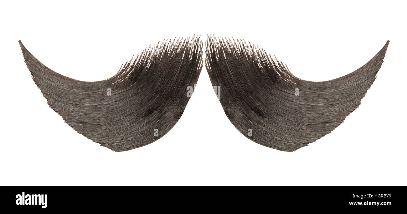 Retro Style Human Hair Mustache Isolated on White Background Stock ...