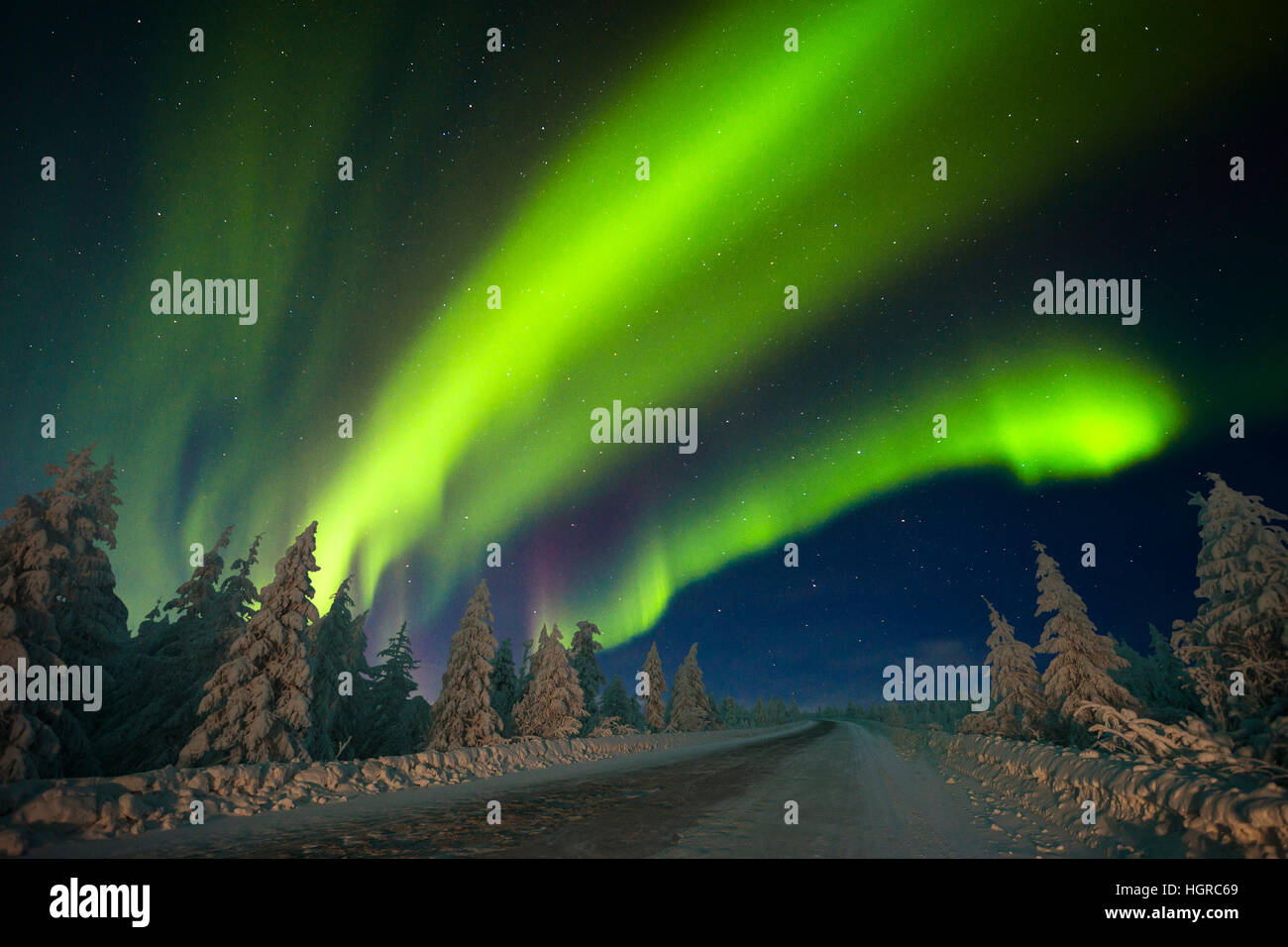 Northern Lights - Aurora borealis over snow-covered forest. Landscape ...