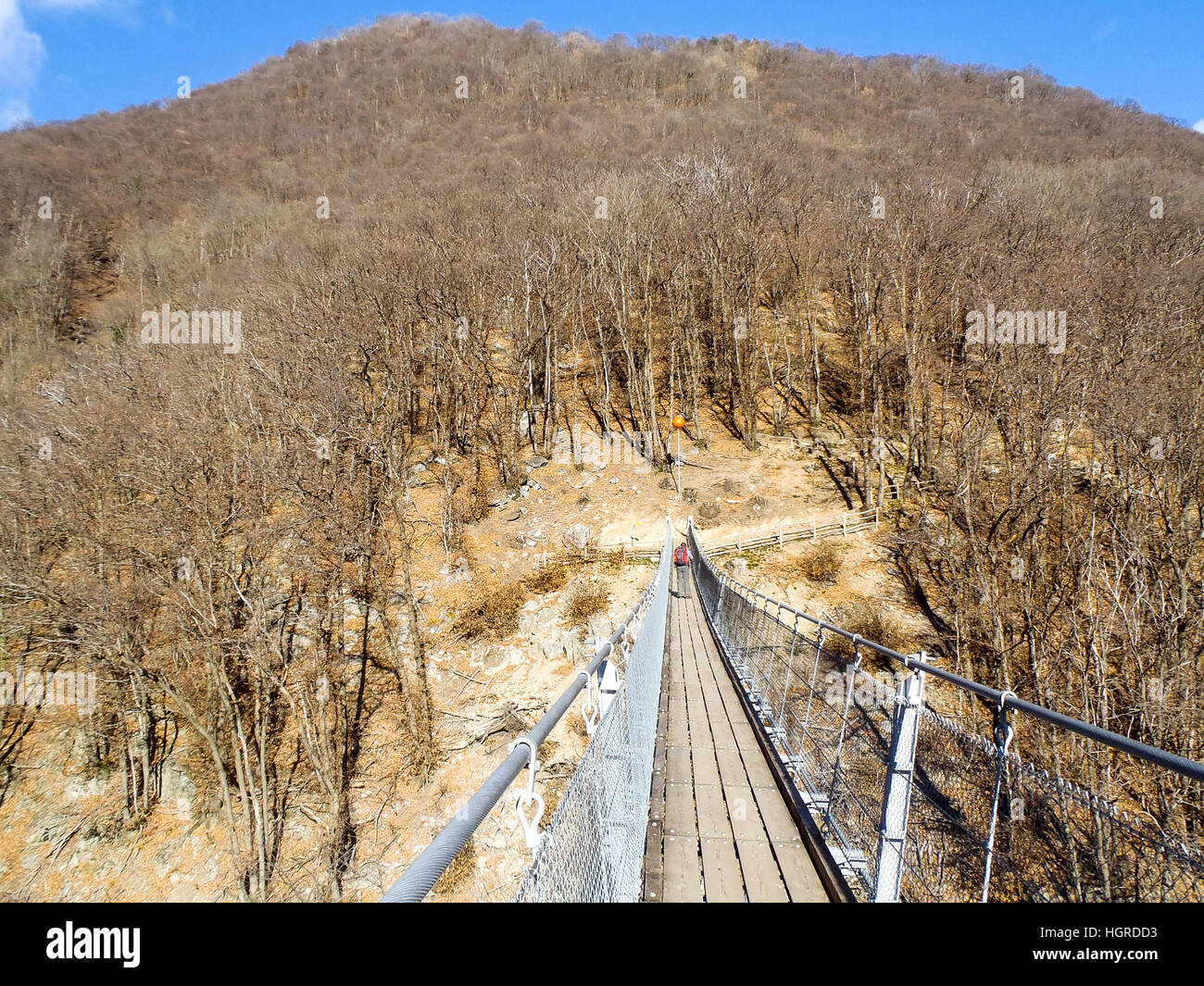 Sementina, switzerland: Suspension bridge over the valley Stock Photo ...