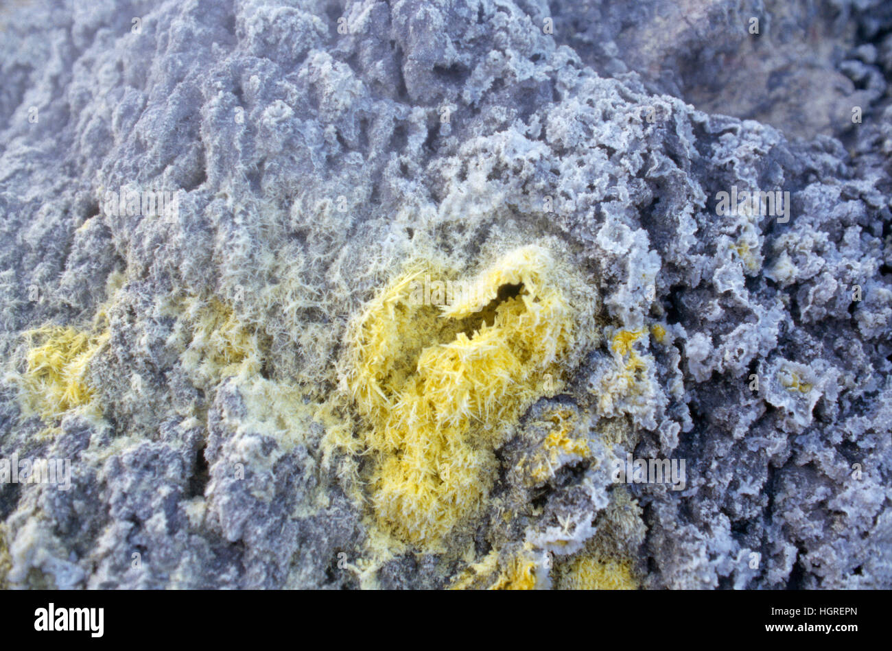 White Island New Zealand Sulphur Deposited On Volcanic Fumeral Stock ...