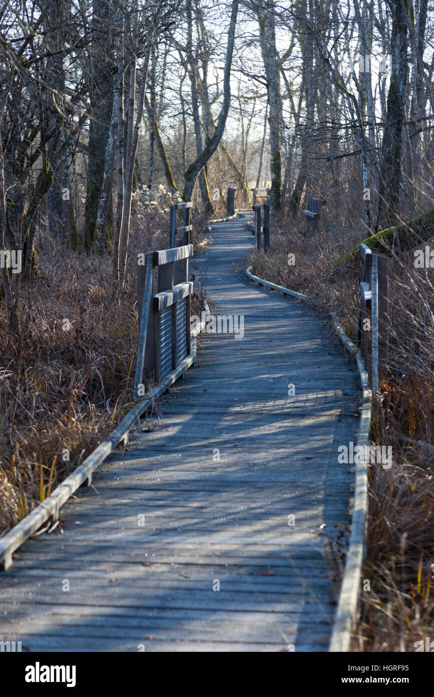 Walk Way Boardwalk Path Nature High Resolution Stock Photography and ...