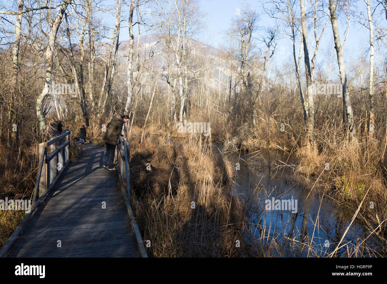 Mother & children / kid / kids daughters on walkway pathway foot path ...