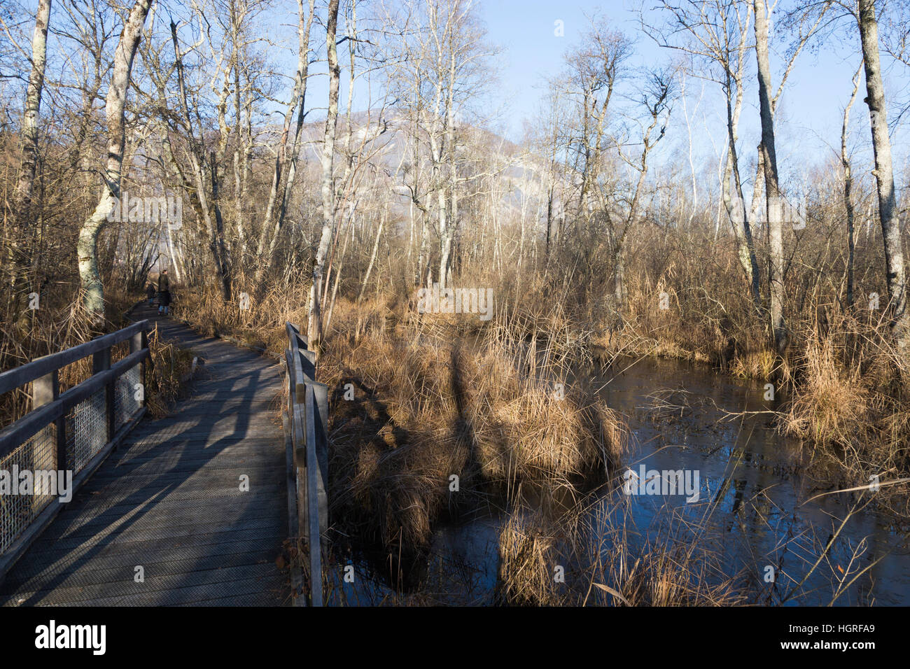 Walkway / pathway / foot path / footpath for walking tourists / hikers ...