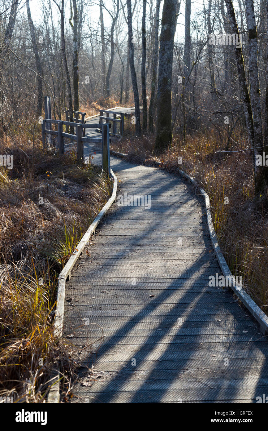 Walkway / pathway / foot path / footpath for walking tourists / hikers ...