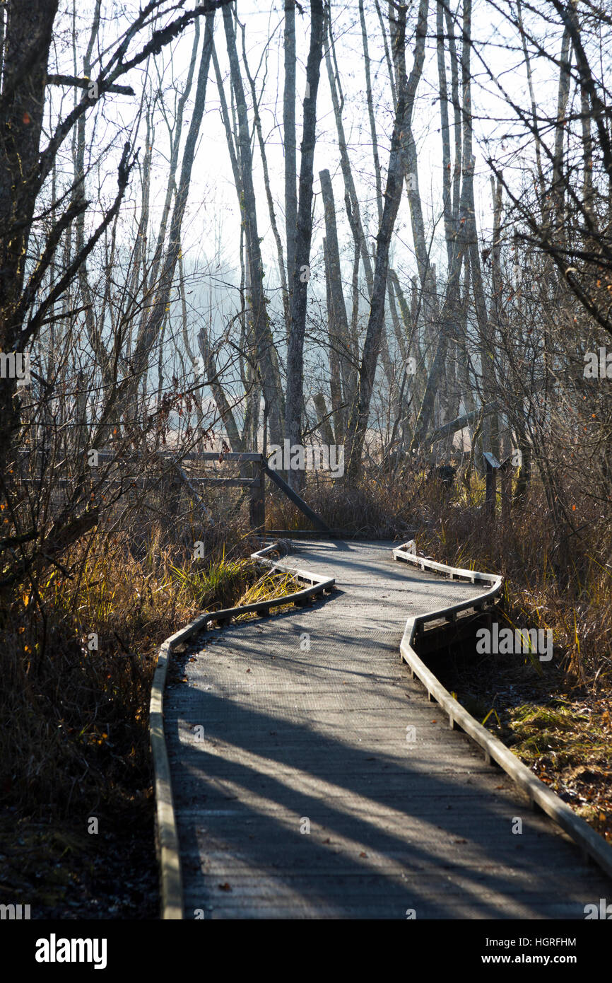 Walkway / pathway / foot path / footpath for walking tourists / hikers ...