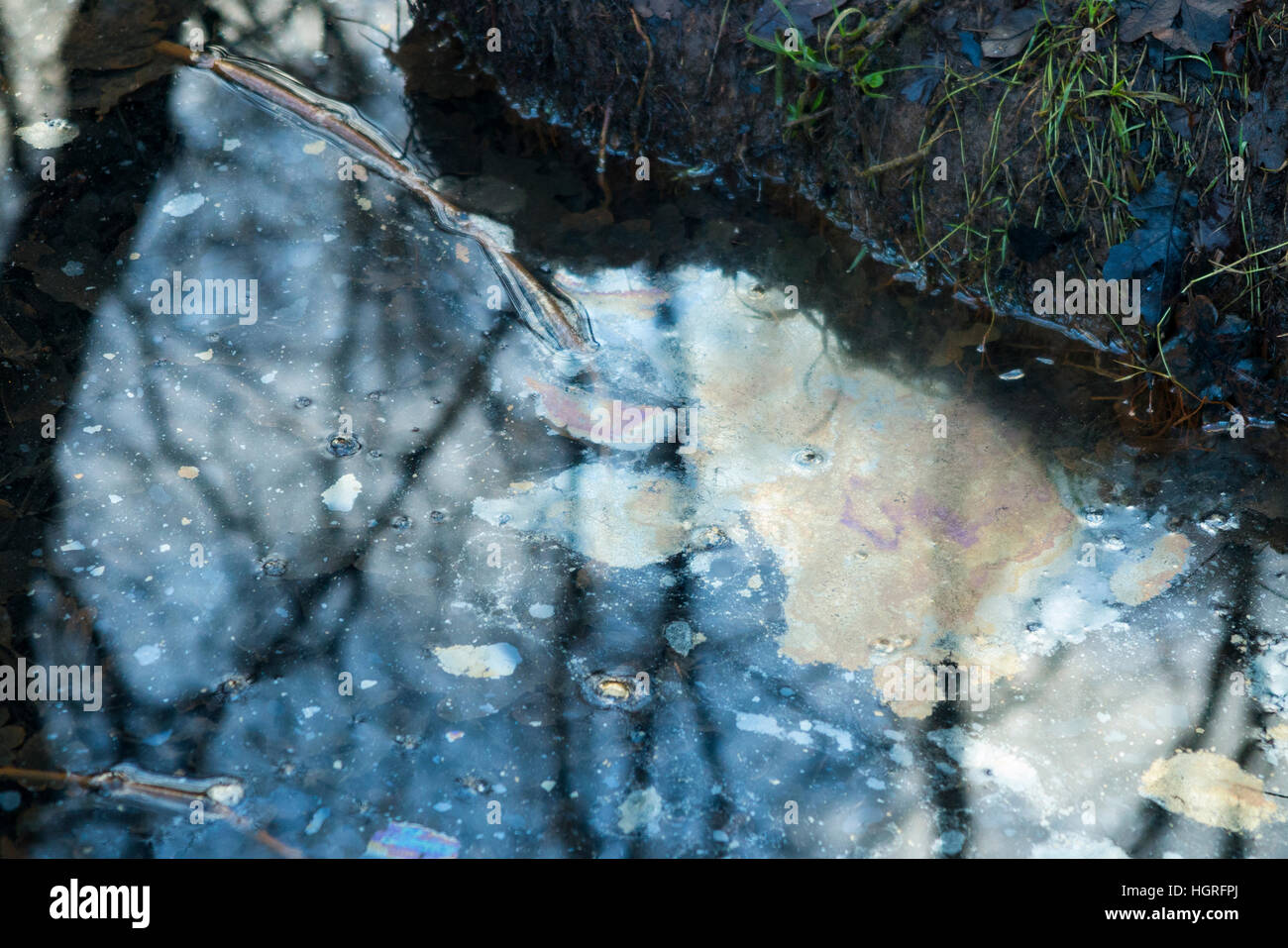 Water pool / pond / slow flowing stream contaminated / polluted with ...