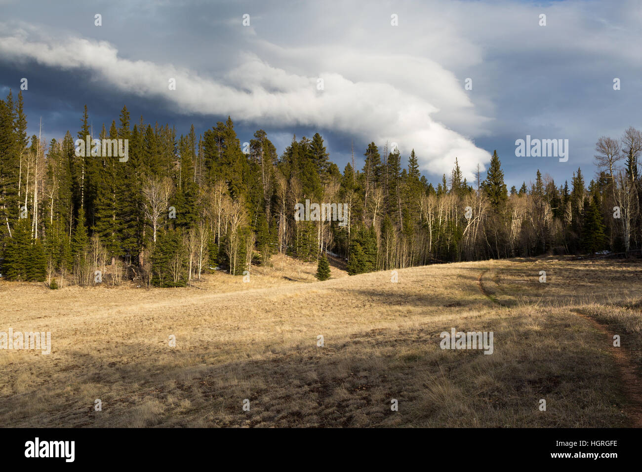 The Arizona Trail rolling over a meadow and small rolling hills on the ...