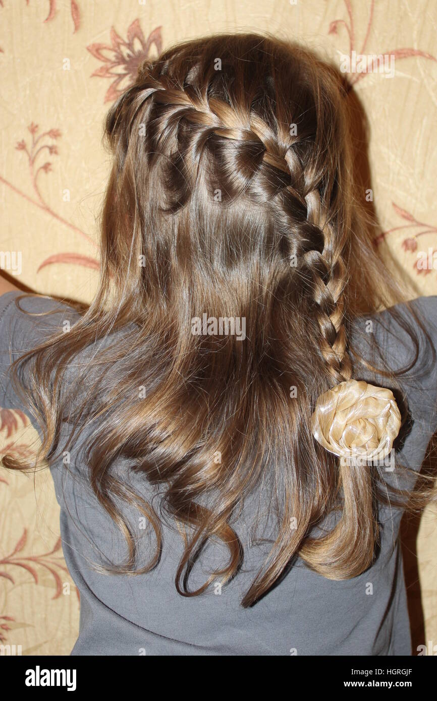 head of young girl with nice braids back view Stock Photo - Alamy