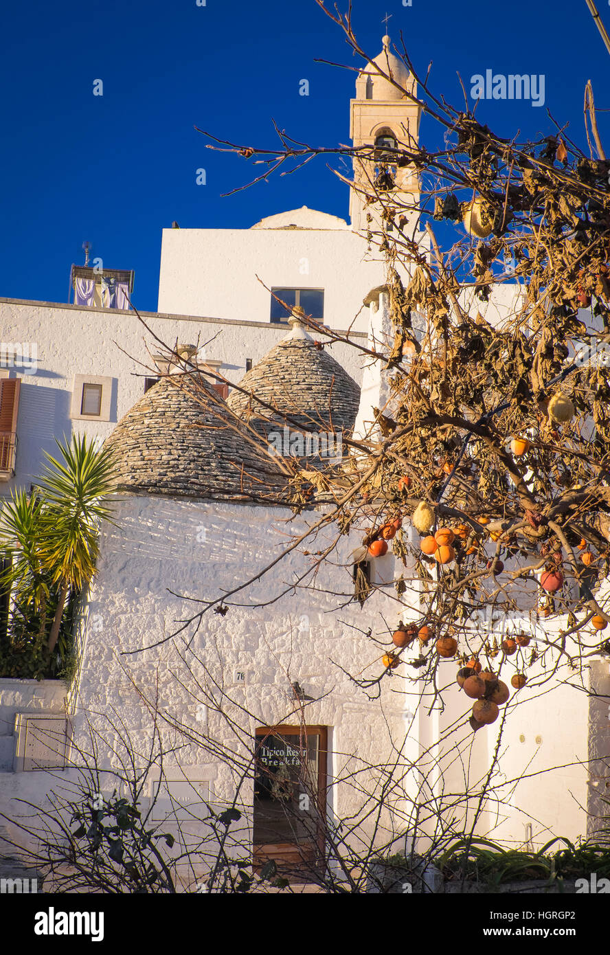 the beautiful Trulli of Alberobello have been designated as a UNESCO ...