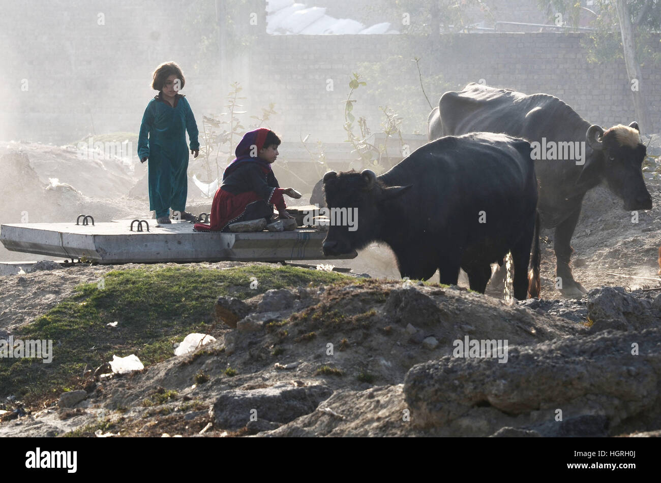 Lahore, Pakistan. 12th Jan, 2017. Pakistani people busy in their ...