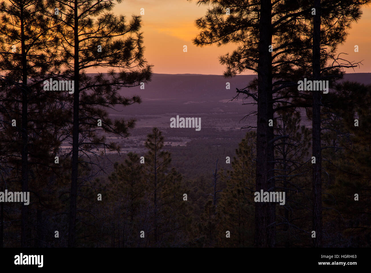 Pre-sunrise light coloring the landscape below the Coconino Rim in ...
