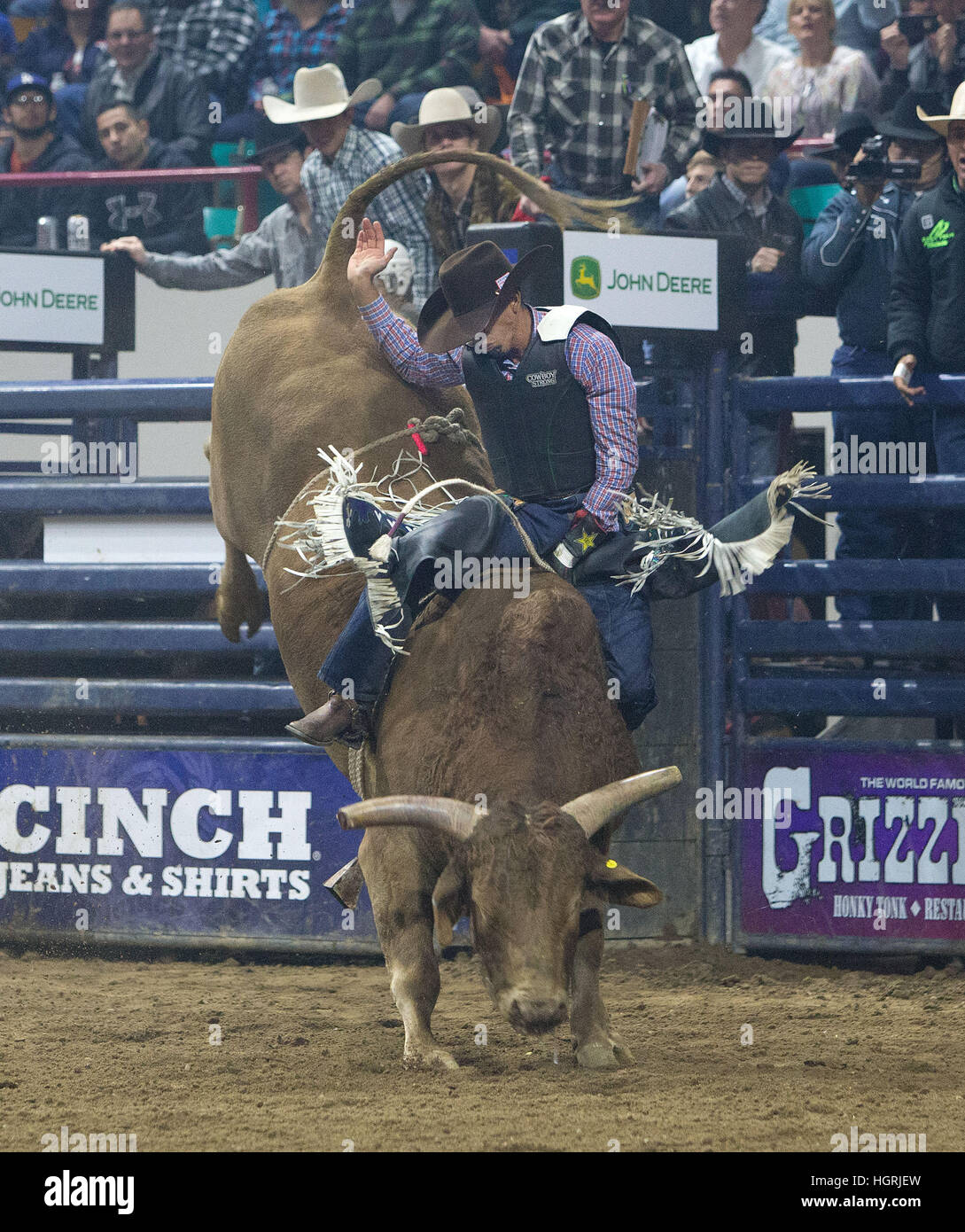 Bull riding chute hi-res stock photography and images - Alamy
