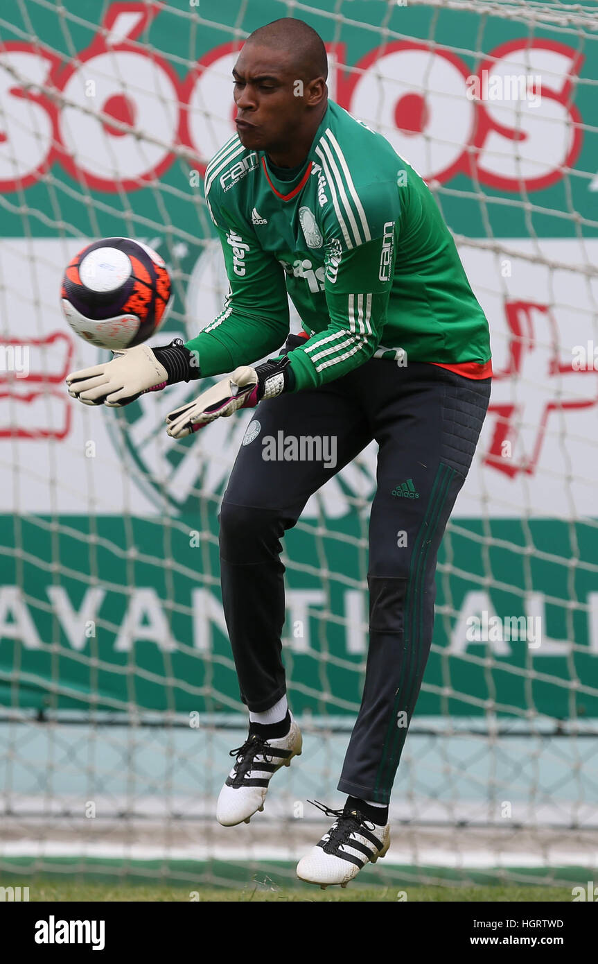 Sao Paulo, Brazil. 12th Jan, 2017. Goalkeeper Jailson, SE Palmeiras ...