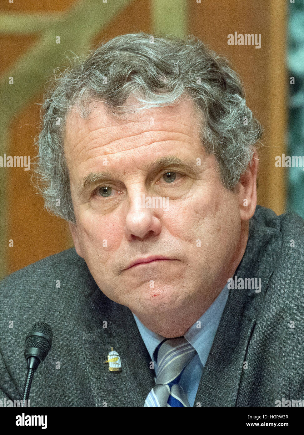 Washington, USA. 12th Jan, 2017. United States Senator Sherrod Brown ...