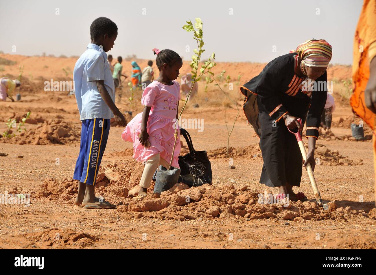 African people planting trees hi-res stock photography and images - Alamy
