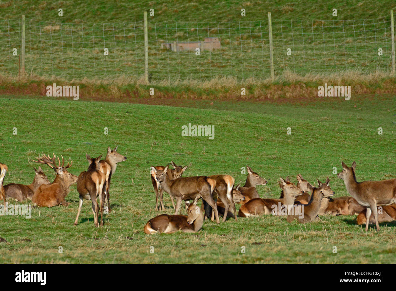 Ashton frost hi-res stock photography and images - Alamy