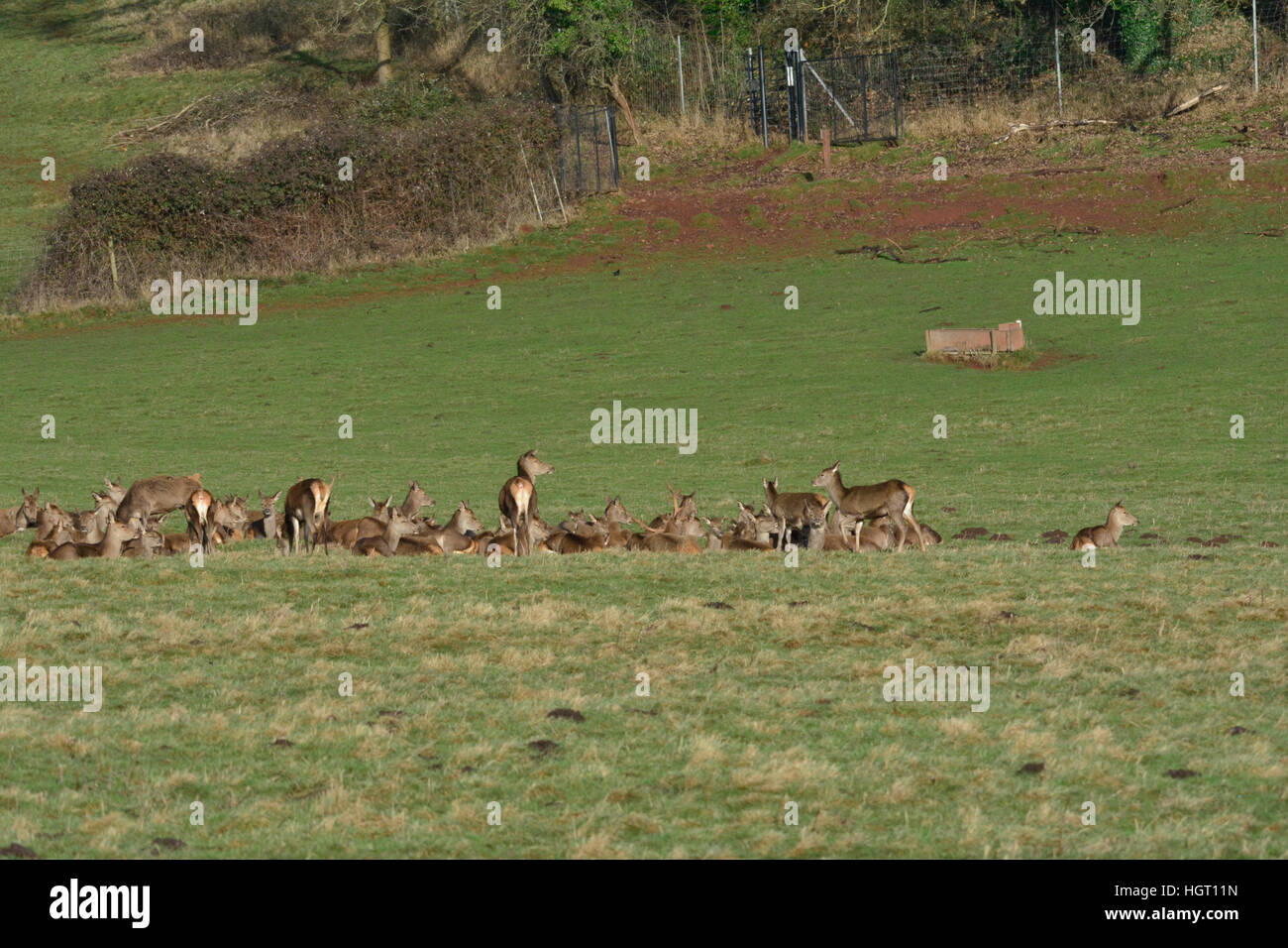 Ashton frost hi-res stock photography and images - Alamy