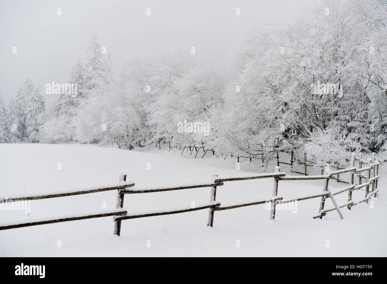 Sonnenberg, Germany. 11th Jan, 2017. Winter landscape, Germany, in the ...