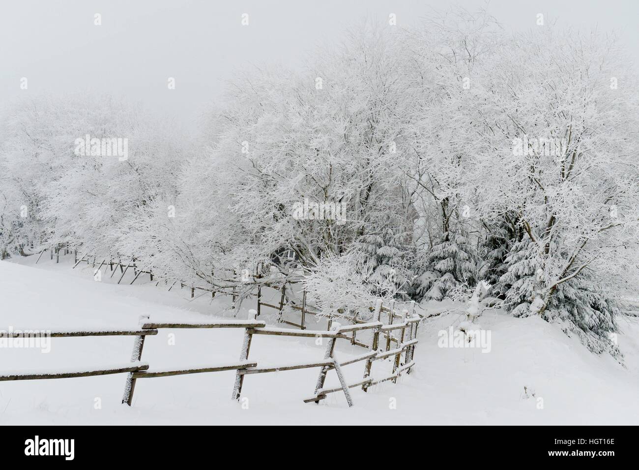 Sonnenberg street hi-res stock photography and images - Alamy