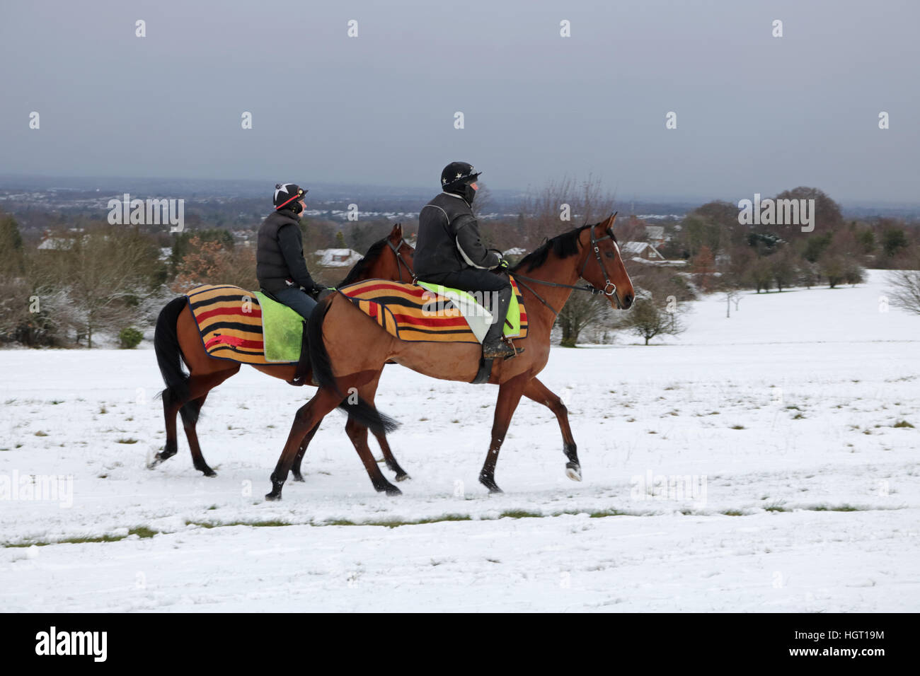 Epsom, Surrey, UK. 13th January 2017. Two race horses from the nearby ...