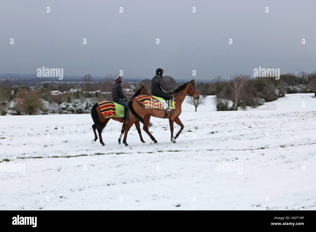 Race horse stables uk hi-res stock photography and images - Alamy