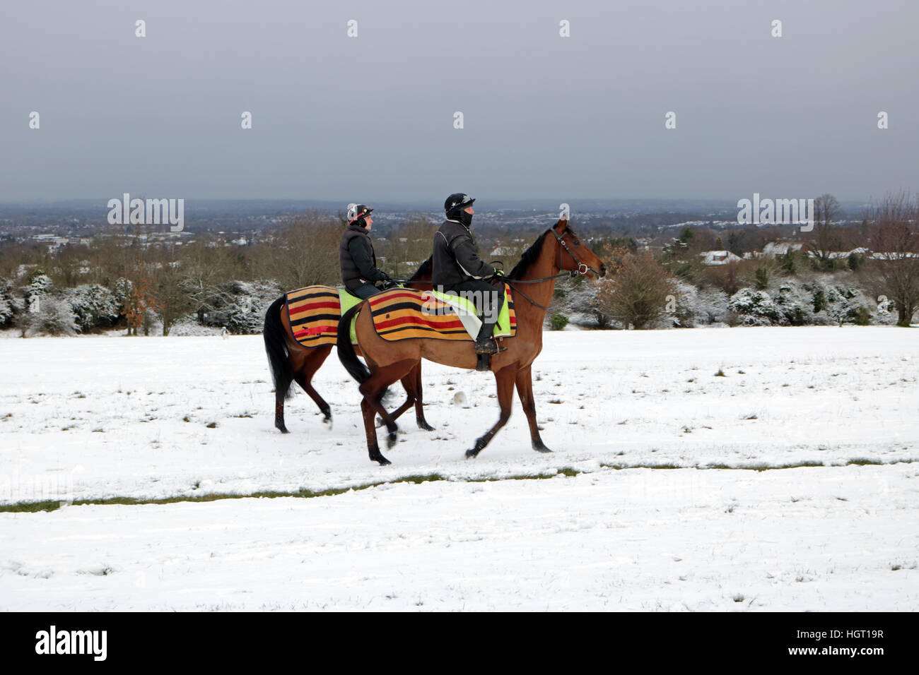 Epsom, Surrey, UK. 13th January 2017. Two race horses from the nearby ...