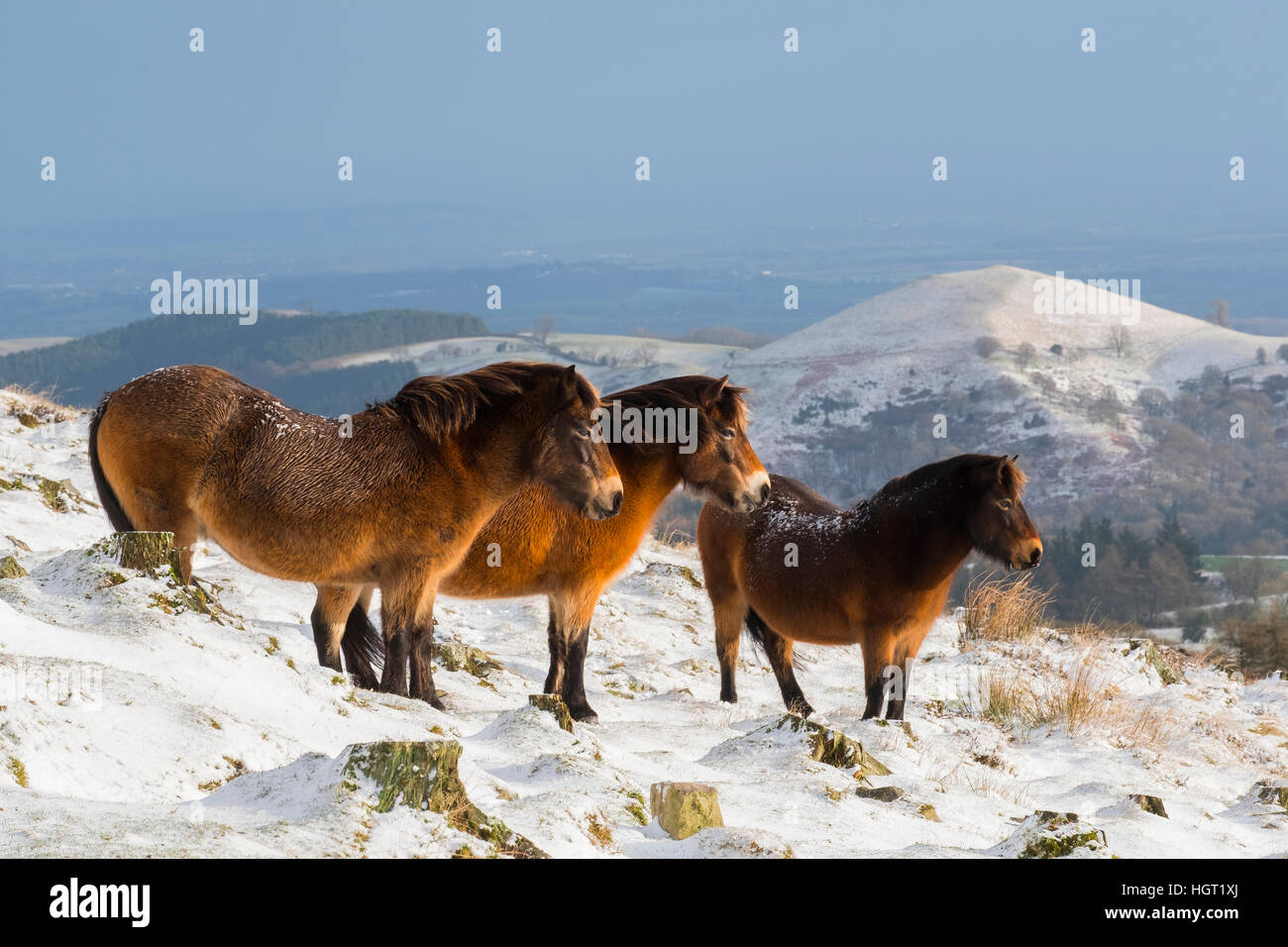 Exmoor snowscape hi-res stock photography and images - Alamy