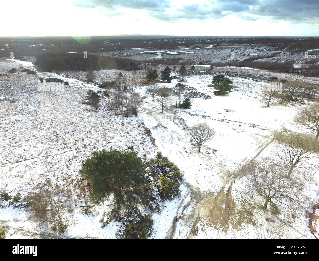 Snowy Ashdown forest, East Sussex Stock Photo - Alamy