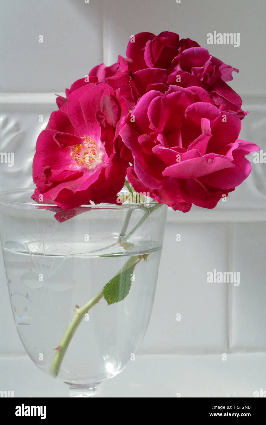 Vase red roses hi-res stock photography and images - Alamy