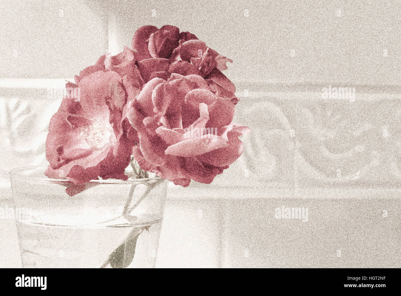 Faded red rose hi-res stock photography and images - Alamy