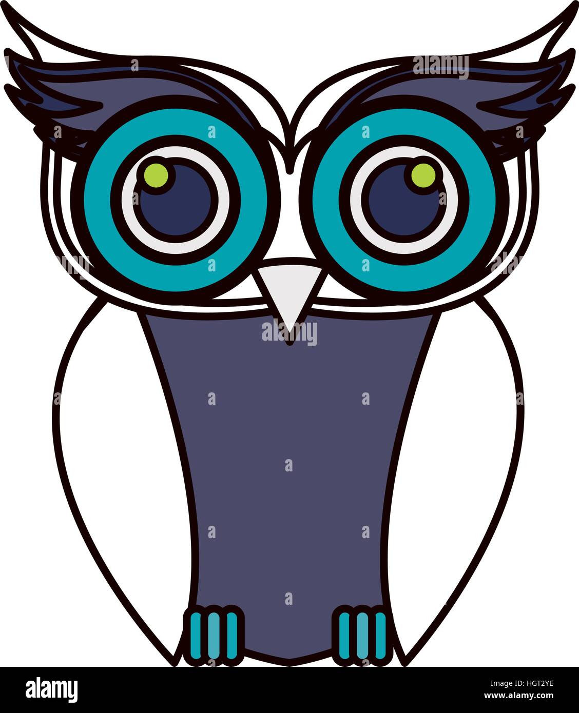 Owl cartoon icon. Bird animal and nature theme. Isolated design. Vector ...