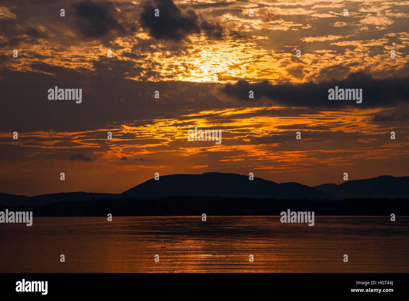 Brome knowlton hi-res stock photography and images - Alamy