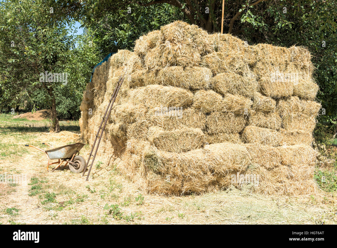 Ladder set against a haystack hi-res stock photography and images - Alamy