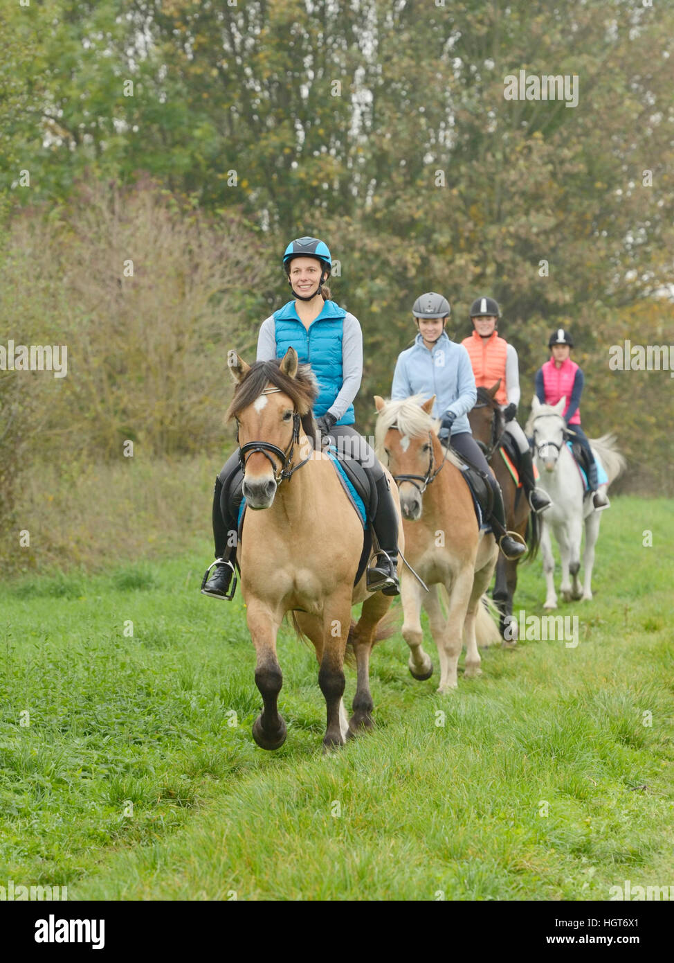 Ride out in autumn, four horsewomen trotting on a path through a meadow ...