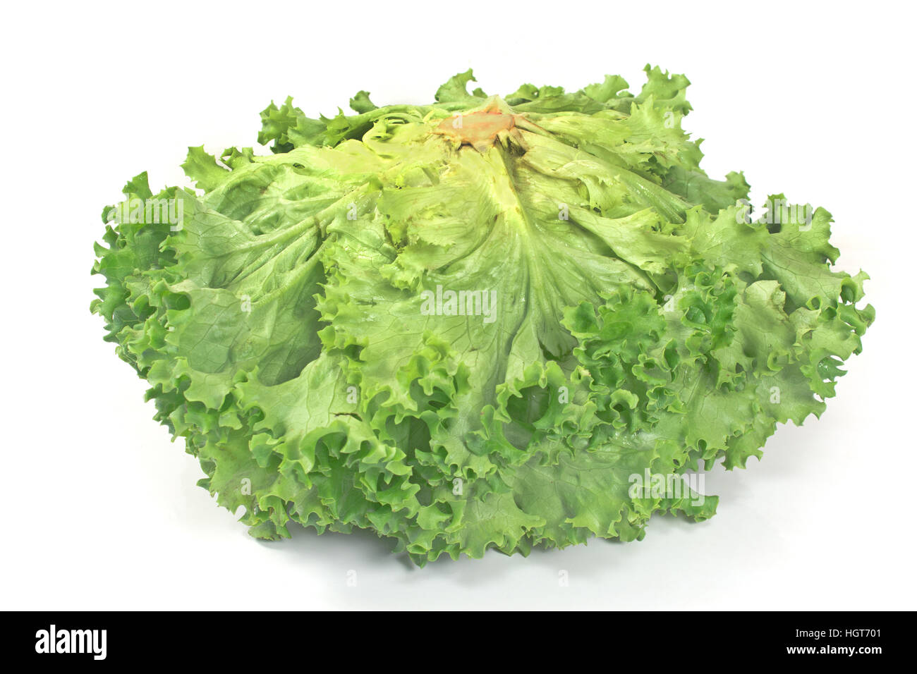 Lettuce vegetable hi-res stock photography and images - Alamy