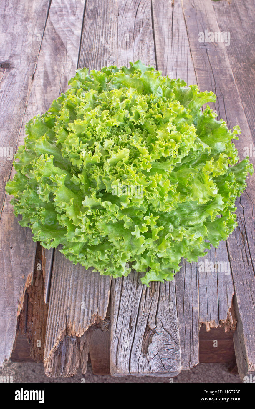 Wooden lettuce hi-res stock photography and images - Alamy