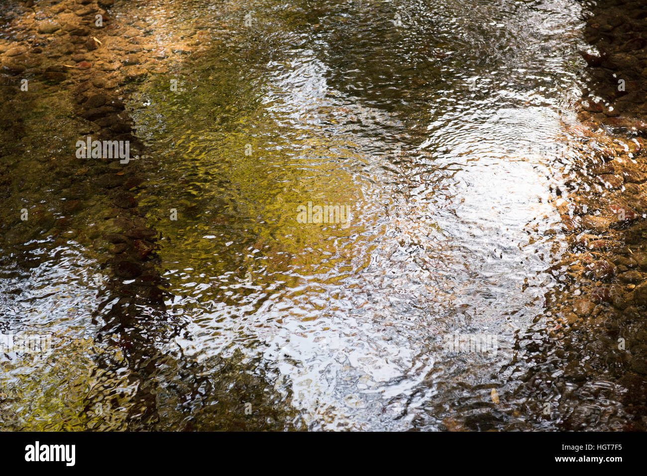 Ripples of water in a pond in a Japanese garden Stock Photo - Alamy