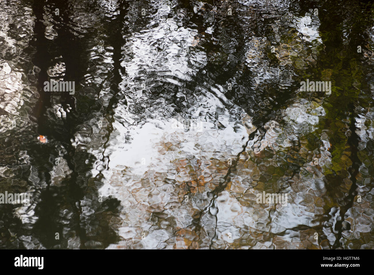Ripples of water in a pond in a Japanese garden Stock Photo - Alamy