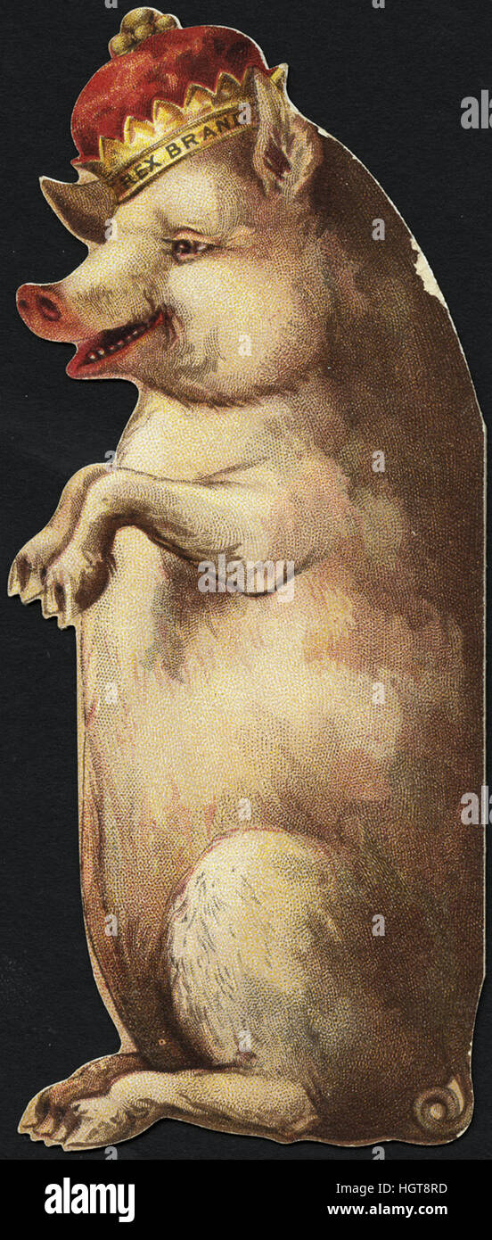 Rex brand rex brand sugar cured meats hi-res stock photography and ...