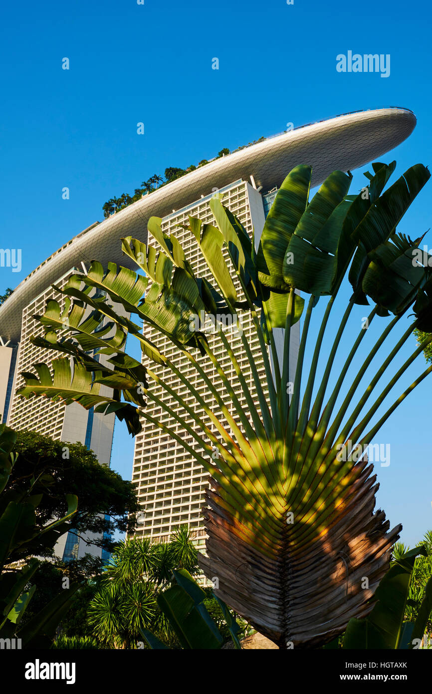 Singapore, Marina Bay, Garden By the bay, botanic garden, Supertree ...