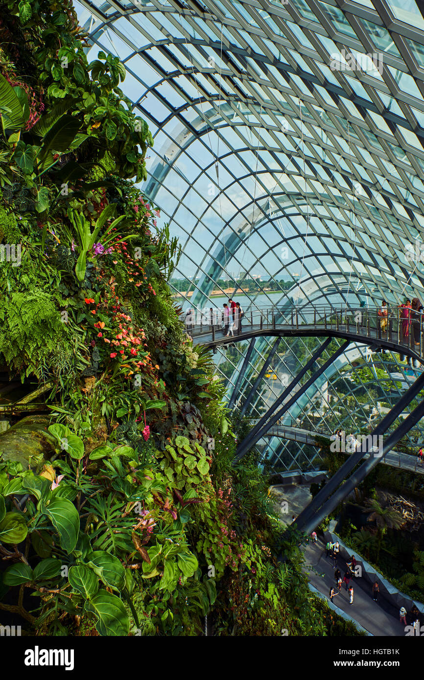 Singapore, Marina Bay, Garden By the bay, Cloud Forest, botanic garden ...