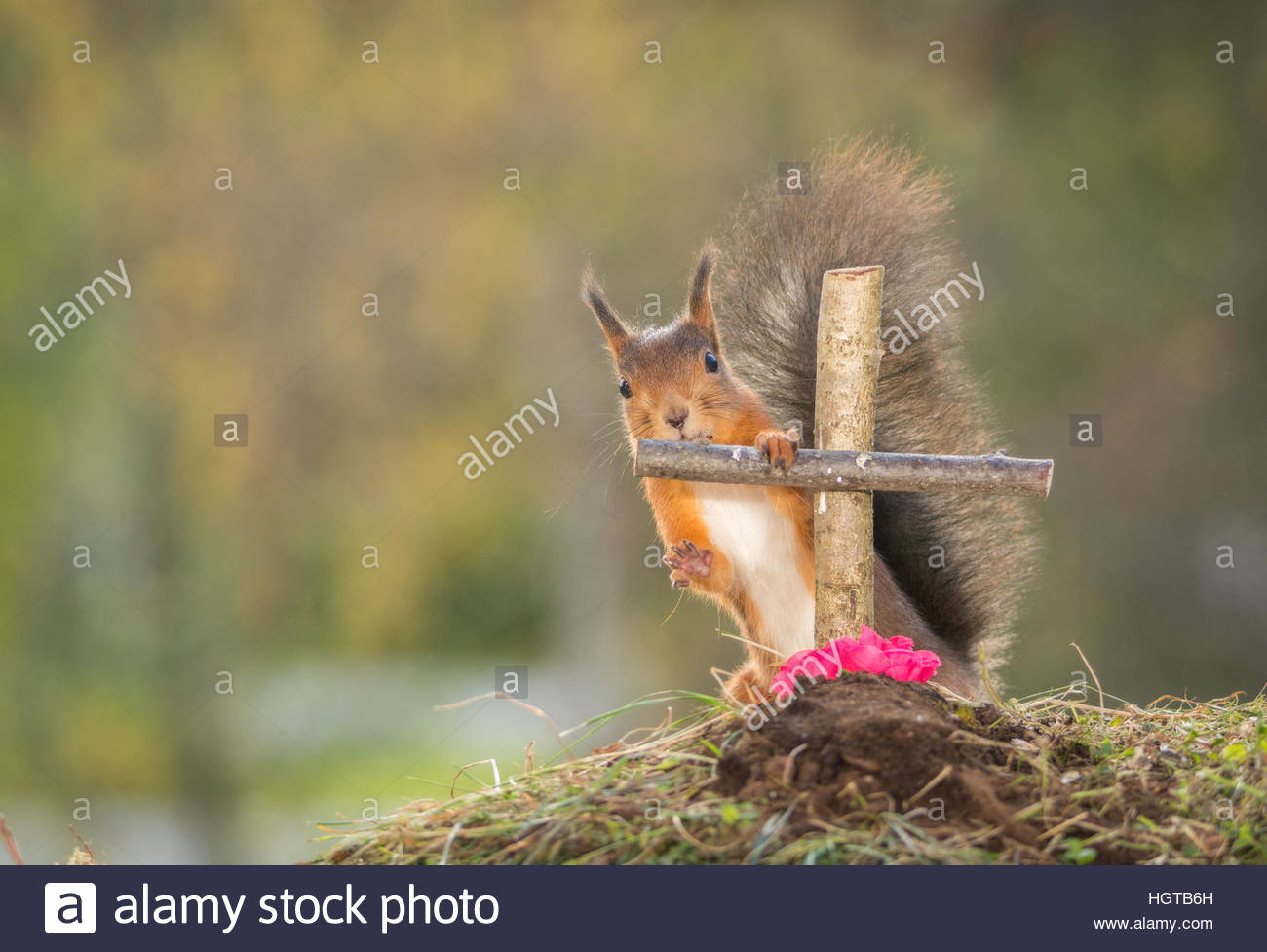 Funny Funeral Stock Photos & Funny Funeral Stock Images - Alamy