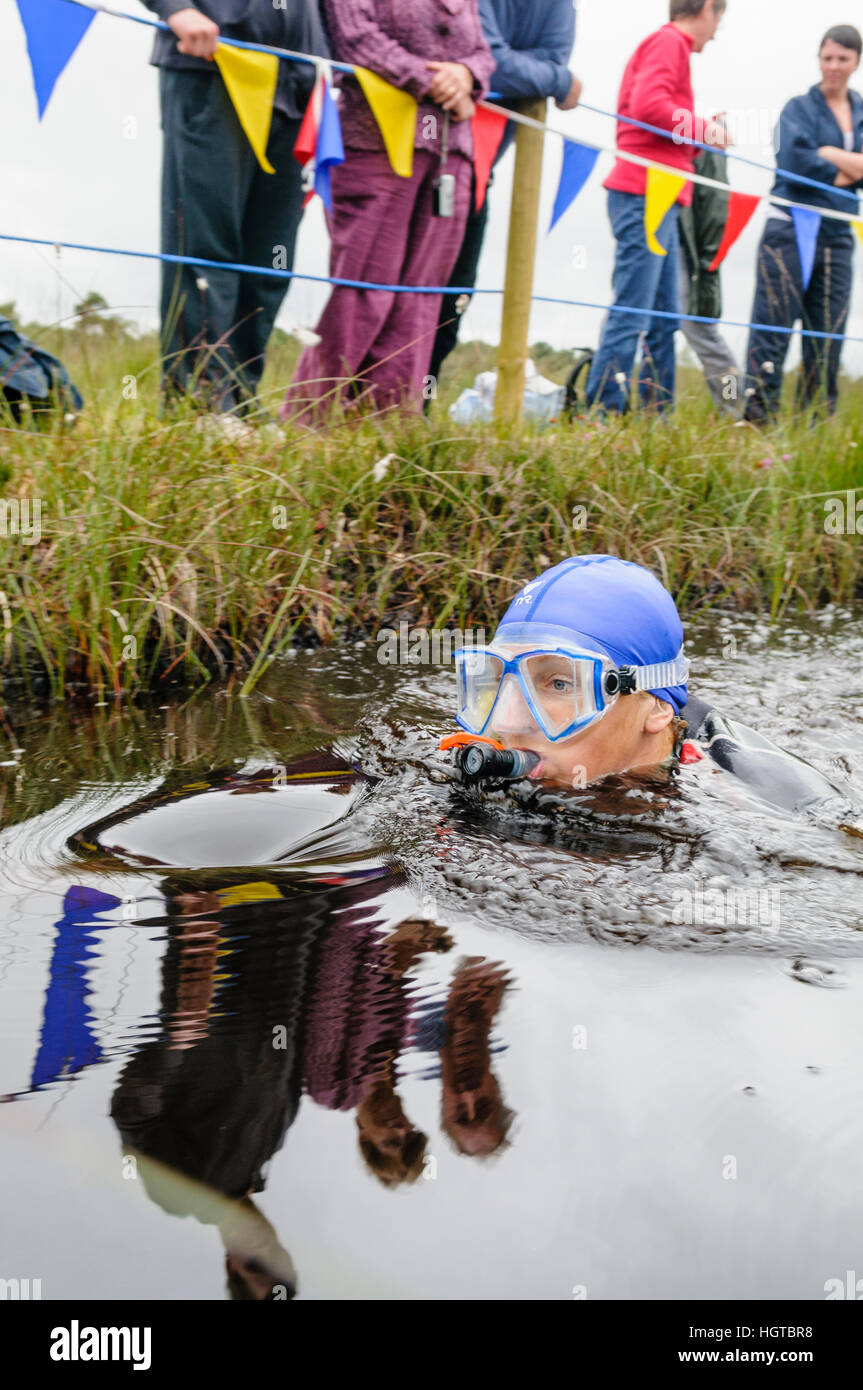 A woman takes part in the Northern Ireland Bog Snorkling championships ...