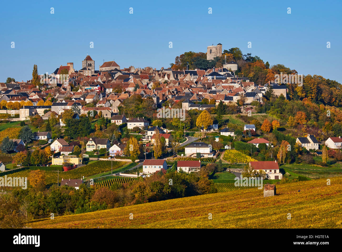 France, Cher 18, Berry, Sancerre village, vineyard Stock Photo - Alamy