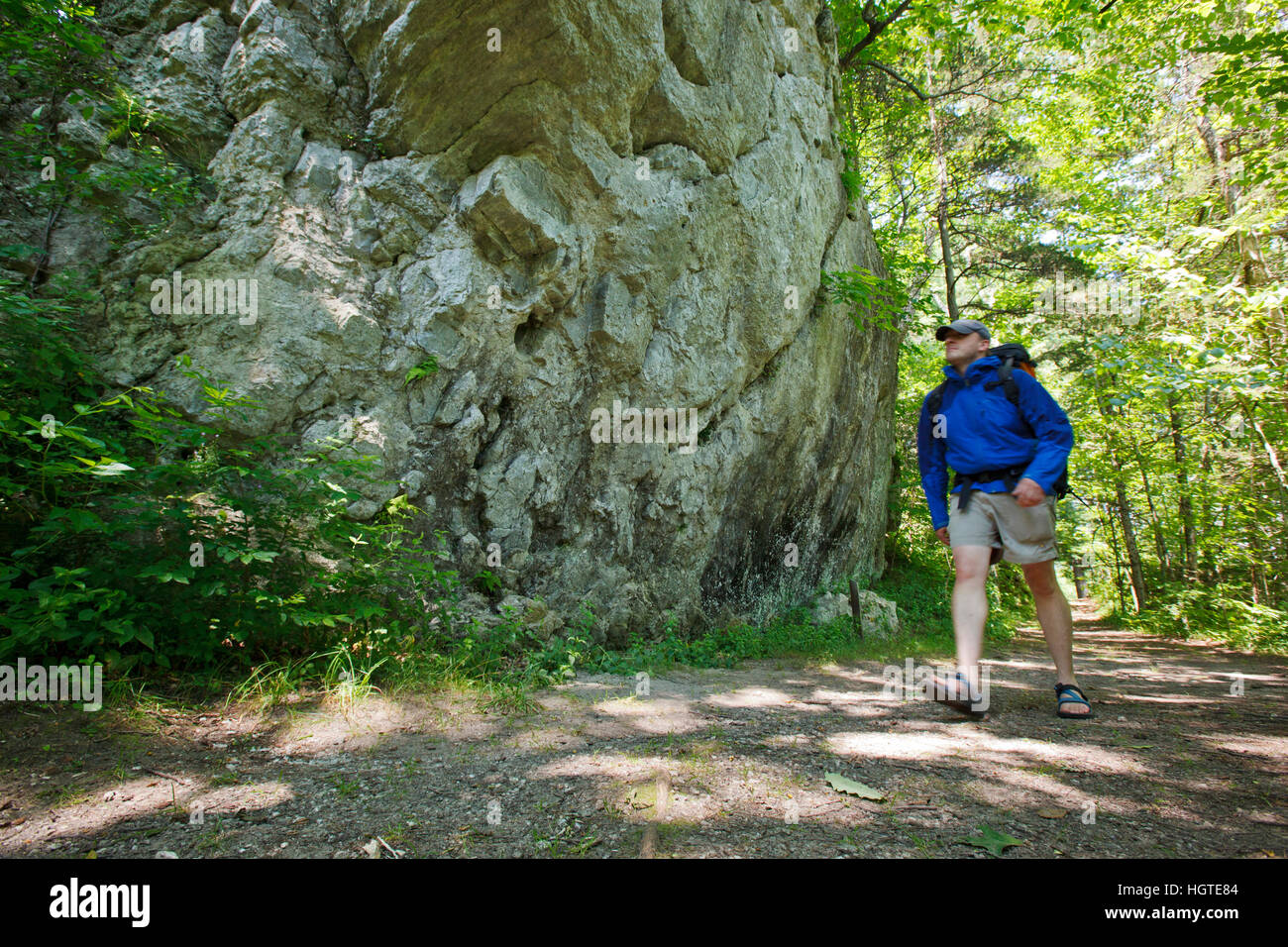 A man hiking on a woodland trail at Bartholomew's Cobble in Sheffield ...