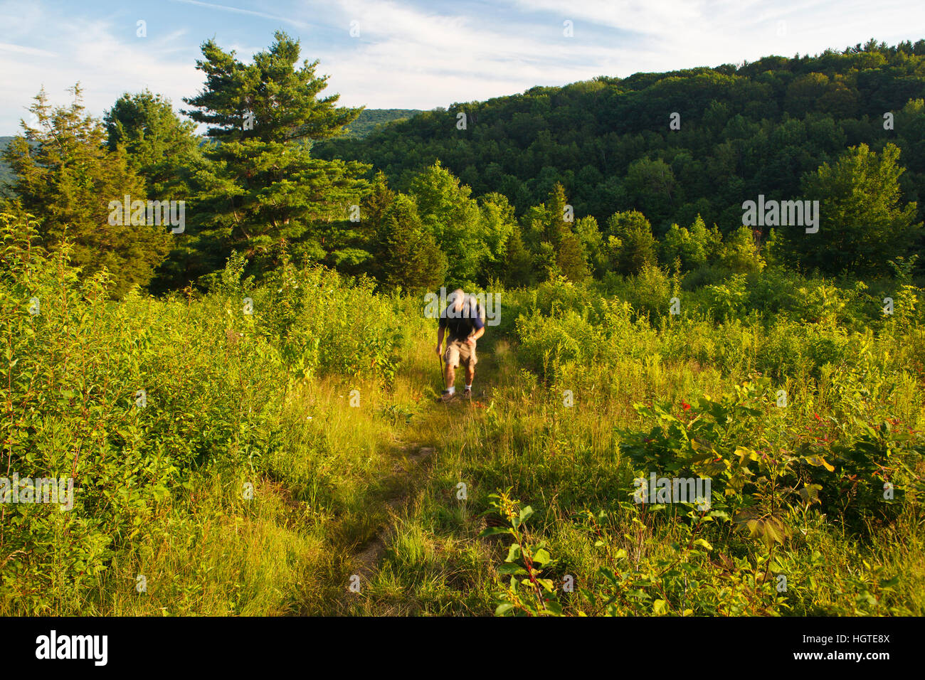 A man hiking the Appalachian Trail on Tyringham Cobble, Tyringham ...