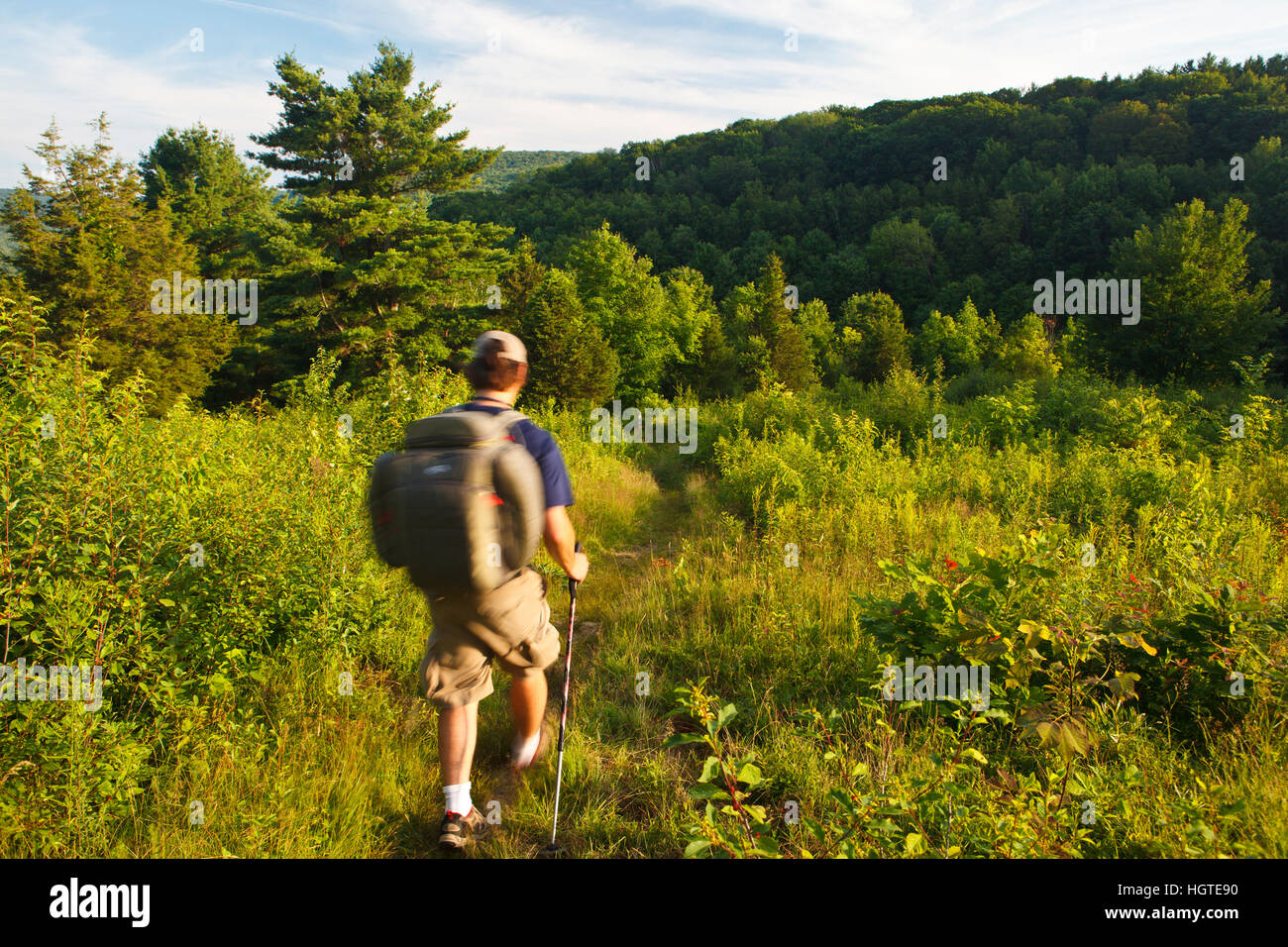 A man hiking the Appalachian Trail on Tyringham Cobble, Tyringham ...
